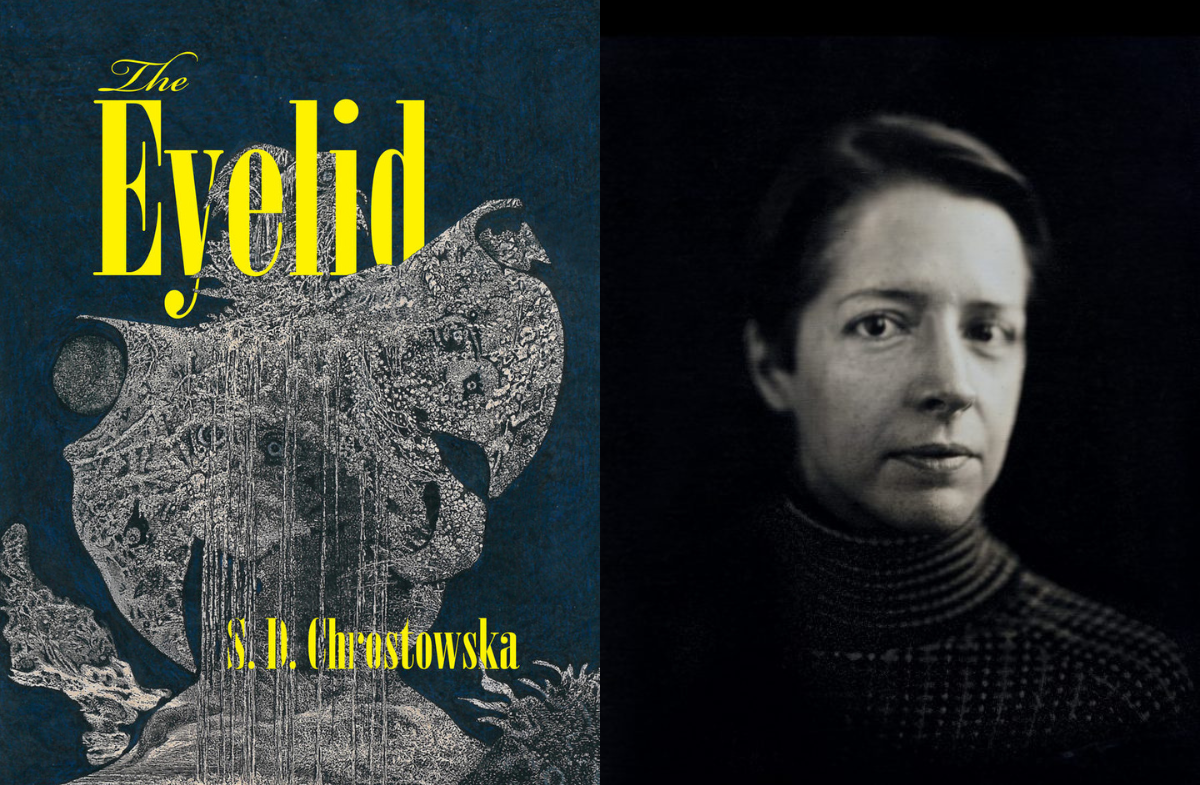 S. D. Chrostowska's The Eyelid by Jeff Bursey - CNQ
