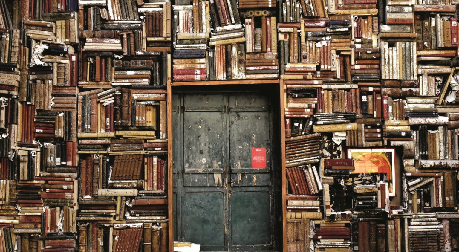There's No Such Thing As Book Hoarding by David Mason - CNQ