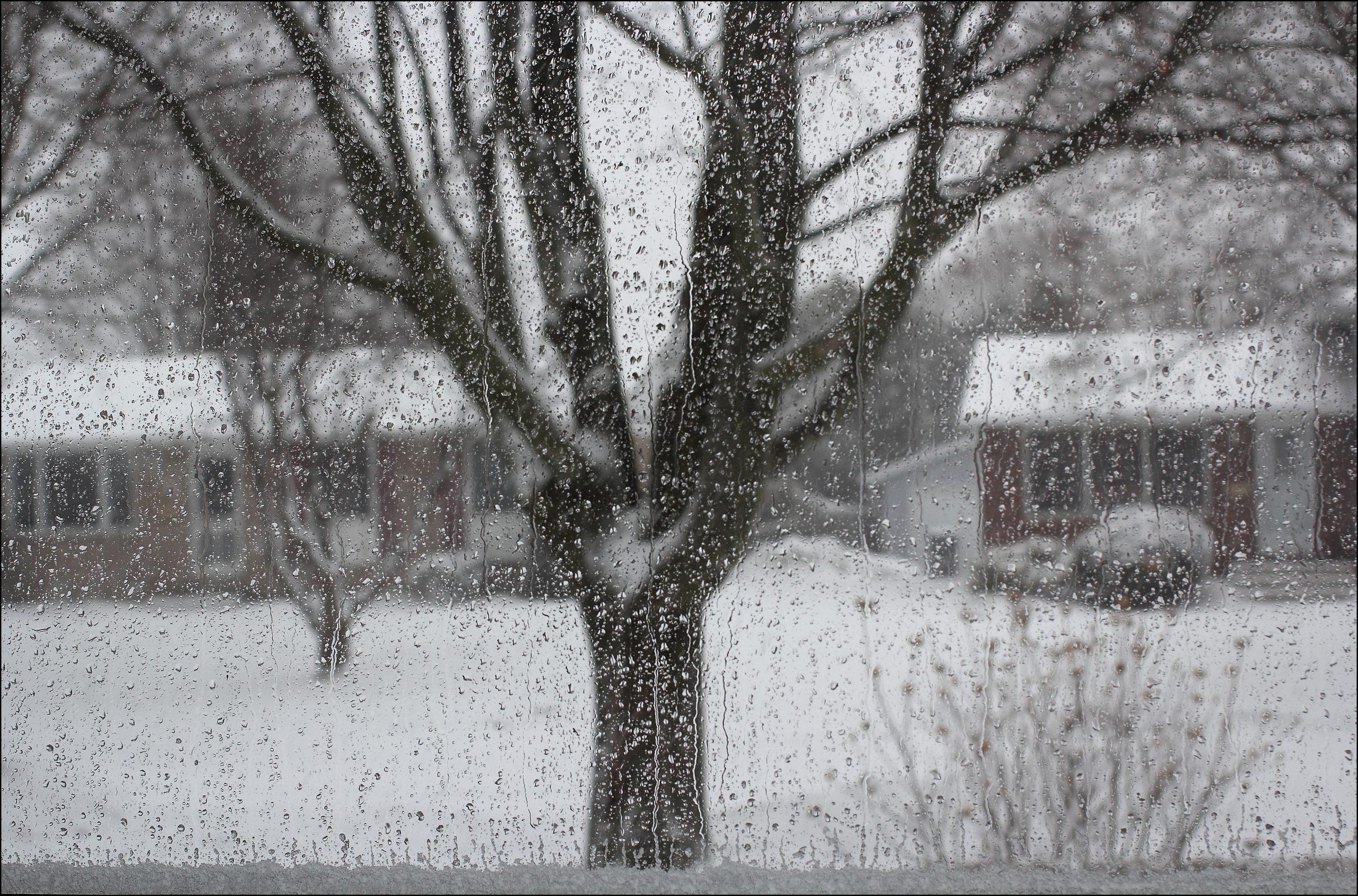 Every Saturday by Robert Colman - CNQ