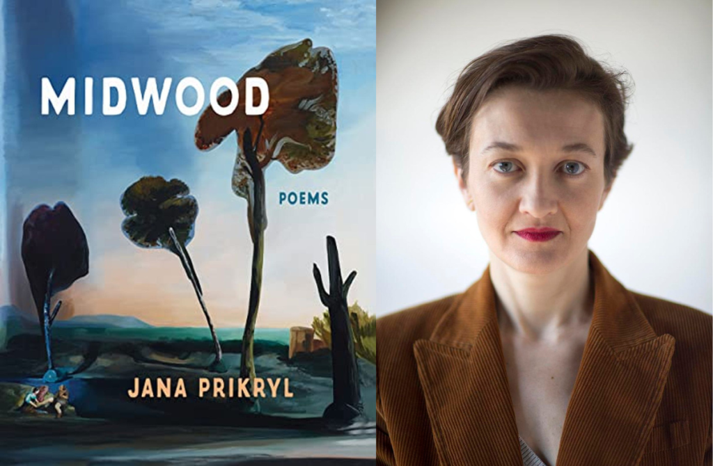 Mike Steeves' Bystander by Sadie Graham - CNQ